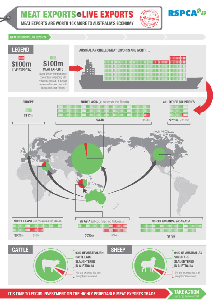 Spectrum Graphics – Graphic Design Canberra » RSPCA – Responsive ...